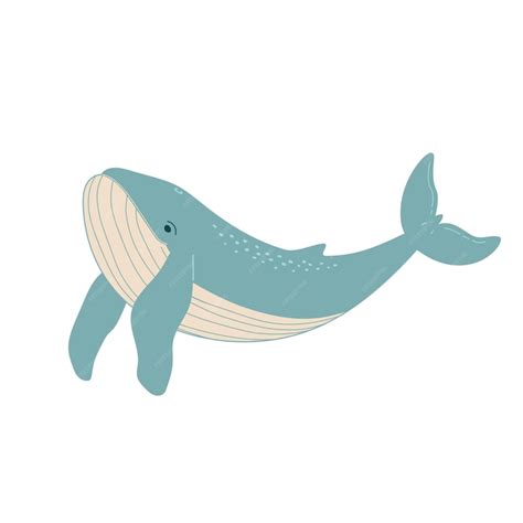 흰색 배경에 고립 된 평면 스타일에 고래 만화 바다 포식자 벡터 일러스트 레이 션 프리미엄 벡터