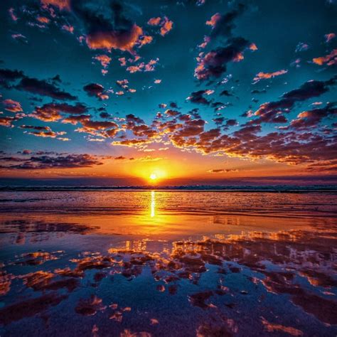 Sweetgrass Braid For Smudging Sacred Space Purification Ritual