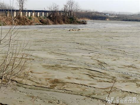 桐柏县永兴矿业污染严重缘与政府监管缺位 知乎