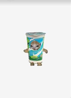 Ayran Cat Komik Hayvan Esprileri Kedi Vintage Logolar