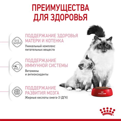 Роял Канин МАЗЕР ЭНД БЭБИКЕТ сухой корм для котят в возрасте до 4 ...