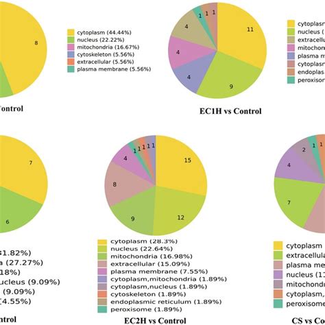 Analysis Of Differentially Expressed Proteins In Cardiac Tissue A Download Scientific