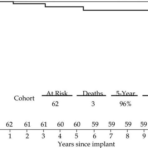 Biochemical Disease Free Survival Curves For 62 Patients At Their Last