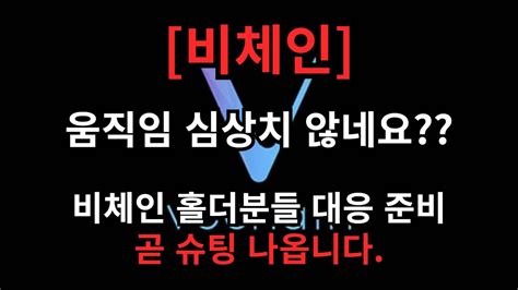 비체인 심상치 않은데요 비체인 들고계신분들 내용 필수체크 Youtube