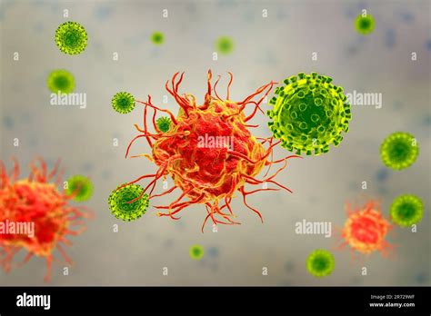 Interaction Between Virus And Dendritic Cell Computer Illustration Dendritic Cells Play A
