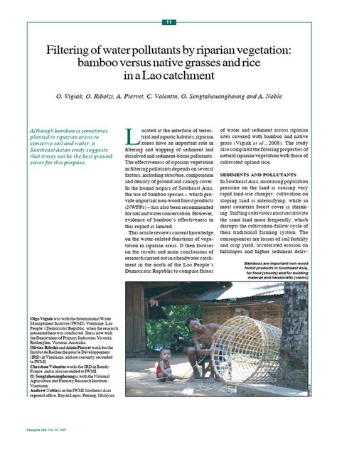 Filtering Of Water Pollutants By Riparian Vegetation Bamboo And