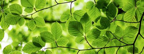 5977c Gc Msd Agilent Act Labeled Products