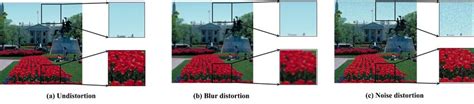 Different Semantic Regions Show Different Responses For The Same Different Semantic Regions Show Different Responses For The Same