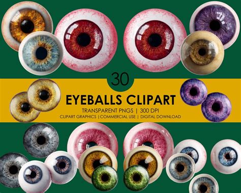 Realistic Eyeball Clipart Png Set Halloween Graphics Digital Download