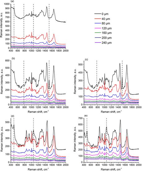 Depth Dependent Raman Spectra Of Porcine Skin Without Oca Treatment