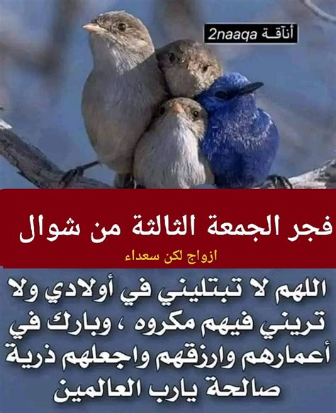 ازواج لكن سعداء