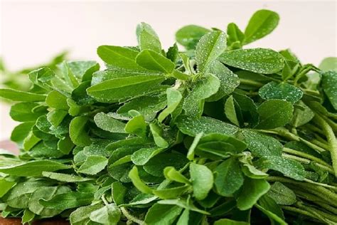 Benefits Of Amalaki Dosage Side Effects And How To Use Shrut