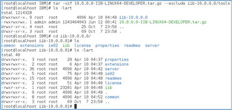 Installing Ibm Integration Bus V10 On Linux