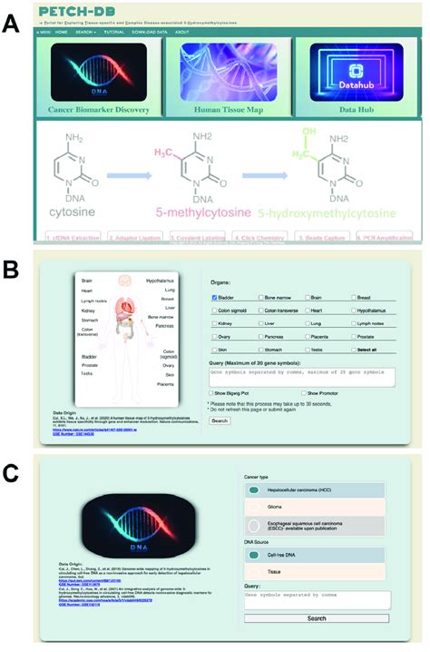 User Interfaces Screenshots Are Showcased For A The Main Interface