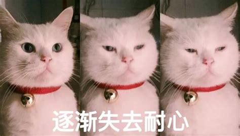 逐渐 逐渐长大 大山谷图库