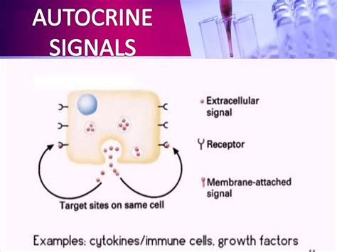 Cellular Signalling And Its Components Ppt