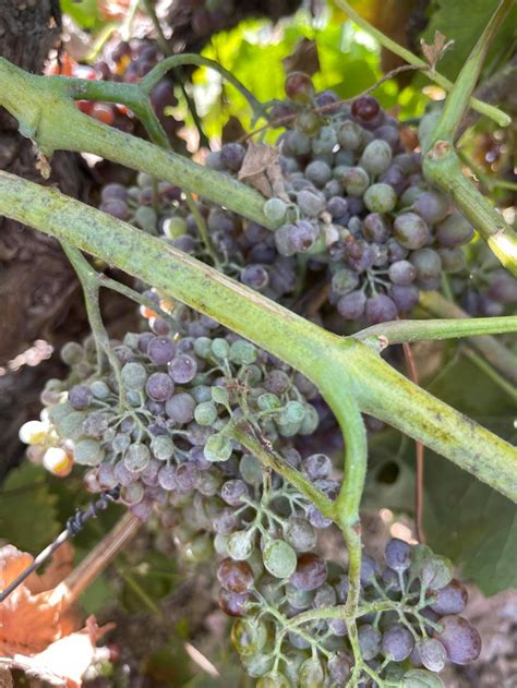 Tile Size Cannot Exceed Image Size · Issue 4 · Acl21imagebboxslicer · Github