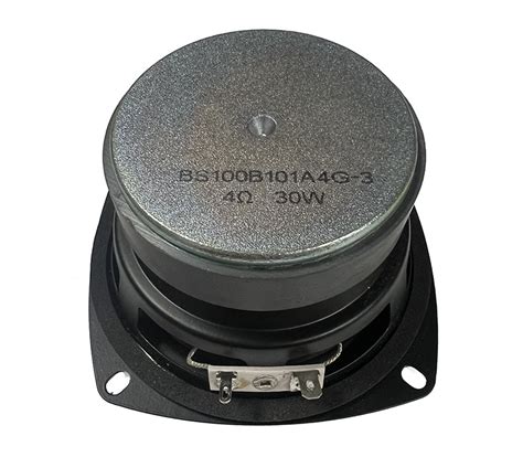 Speaker Korg Syntaur