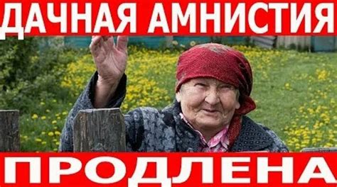Дачная амнистия продлена до 1 марта 2021 года Как оформить дом