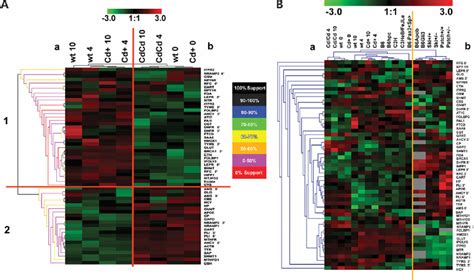 Hierarchical Clustering Of Metabolite And Gene Expression Profiles A