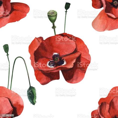 야생 빨간 양귀비와 수채화 원활한 꽃 패턴 손으로 그리기 장식 배경입니다 손으로 그린 수채화 그림입니다 섬유 천 벽지 스크랩북 인쇄 0명에 대한 스톡 벡터 아트 및 기타