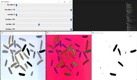 GitHub HassanBinAli Rice Disease Detection OpenCV Image Processing Methods Of OpenCV Are Use