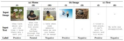 Enhancing Meme Classification Through Supplementary Training Techniques