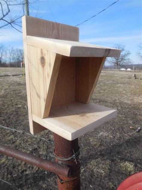 Robin Phoebe Nesting Platform Etsy Bird Houses Diy Bird House Kits Nesting Box