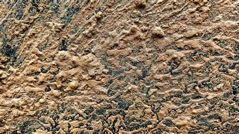 Close Up Of Textured Earth Surface With Natural Patterns And Details