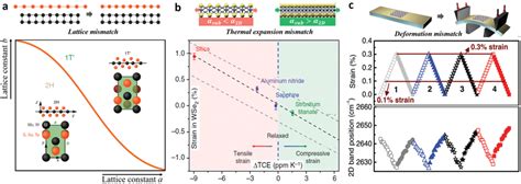 In‐plane Mode A Strain Caused By Lattice Mismatch For A Tmd Download Scientific Diagram