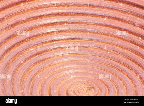 A Background Image Of Multiple Curved Lines Stock Photo Alamy