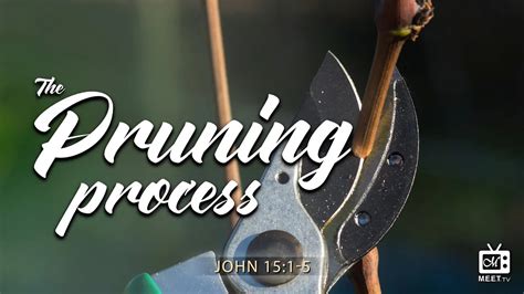 The Pruning Process Dr Thomas Jackson
