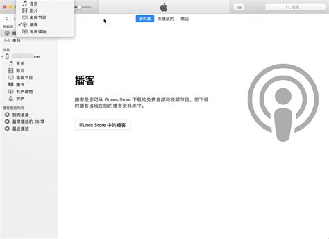 Itunes 里面找不到 ‘应用程序选项 Apple 社区