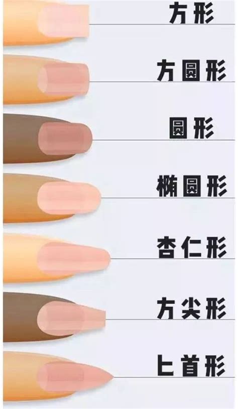 美甲的形状 美甲帮 学美甲 大山谷图库