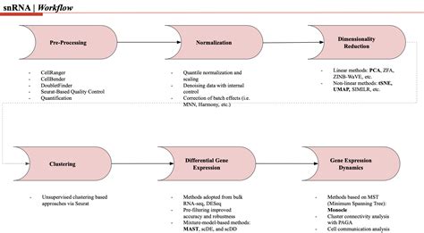 GitHub Aliamrod Multimodal Analysis SnRNA SnATAC Seq Analyses
