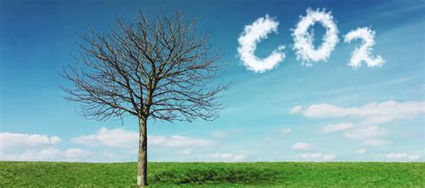 Federal Government Release Carbon… Energy And Resources Knowledge Hub