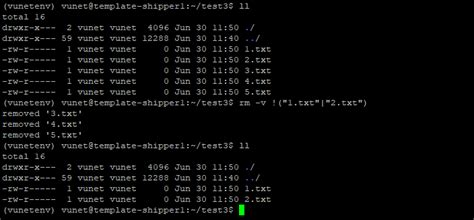 in linux how to delete all files except a pattern