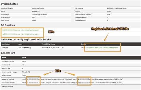 Eureka On Spring Cloud Netflix With Dns Based Config All Instances