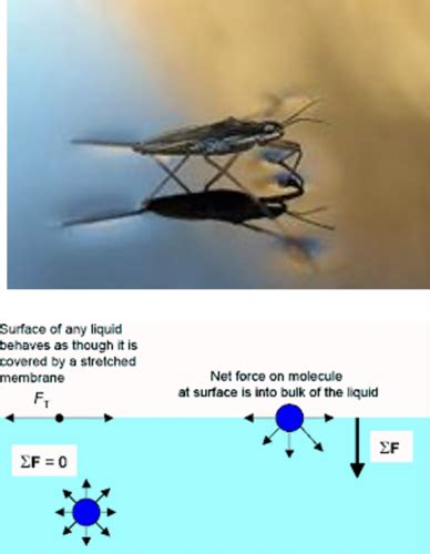 Interfaces I Flashcards Quizlet