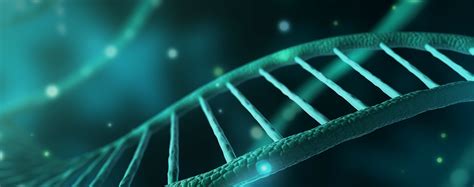 乙酰化修饰组 拜谱生物修饰组学