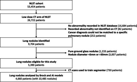 Developing An Understanding Of Artificial Intelligence Lung Nodule Risk Prediction Using