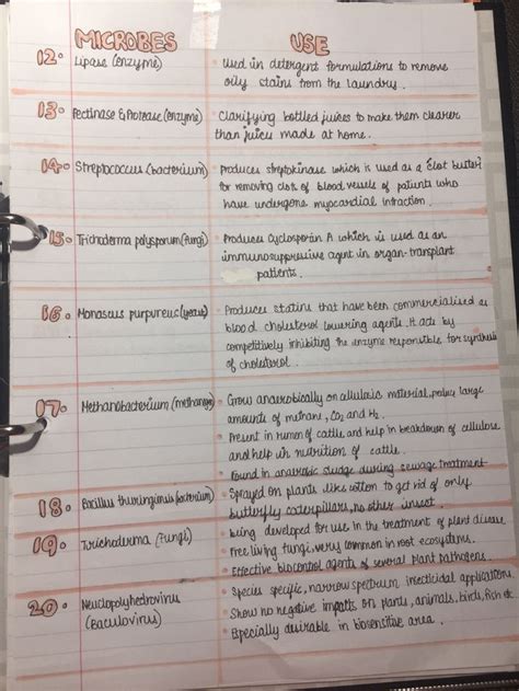 Exploring The Fascinating World Of Microbes