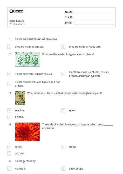 50 Tissues Worksheets For 9th Class On Quizizz Free And Printable