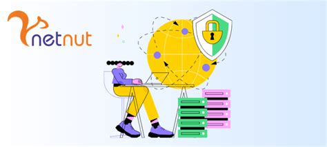 Proxy Types Everything You Need To Know About Netnut