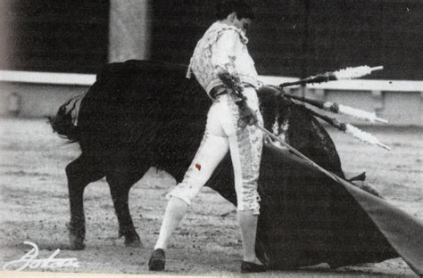 RaÚl Galindo GonzÁlez Historiadeltorero