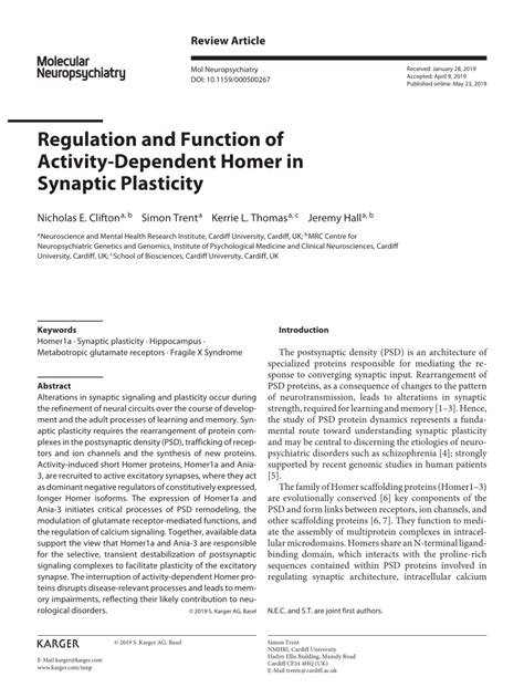 Pdf Regulation And Function Of Activity Dependent Homer In Synaptic Plasticity