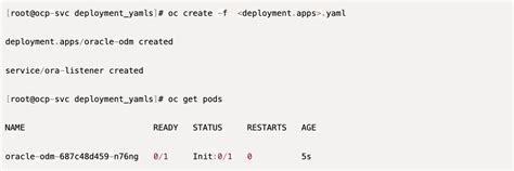 Containerising Oracle With Infoscale In A Red Hat Openshift Environment