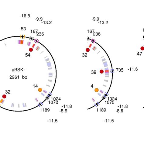 Sequence Analysis And Model Predictions Diagrams Of The Three Plasmids