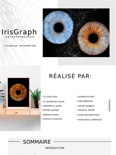 Iris Graph Pdf Commercialisation Investir