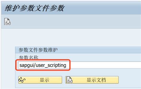 无法使用捕捉控件捕获sap客户端中的控件元素机器人流程自动化rpa 阿里云帮助中心
